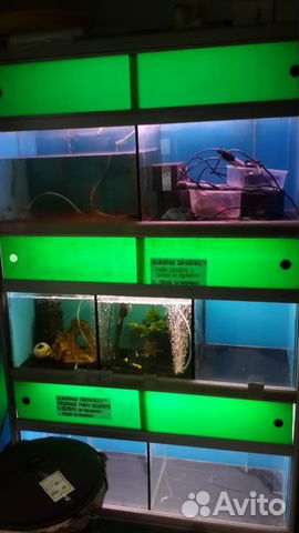 Аквариумная стойка для магазина