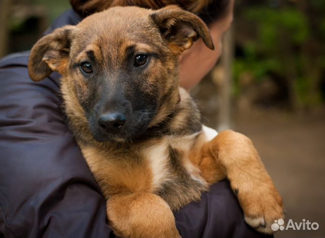 Лючия - рыжая шикарная девочка подросток