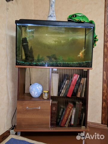 Аквариум с рыбкой и мебелью