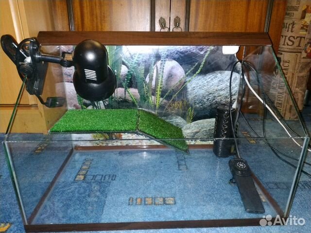 Акватеррариум для черепахи