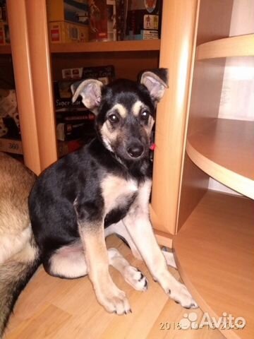 Милая девчушка