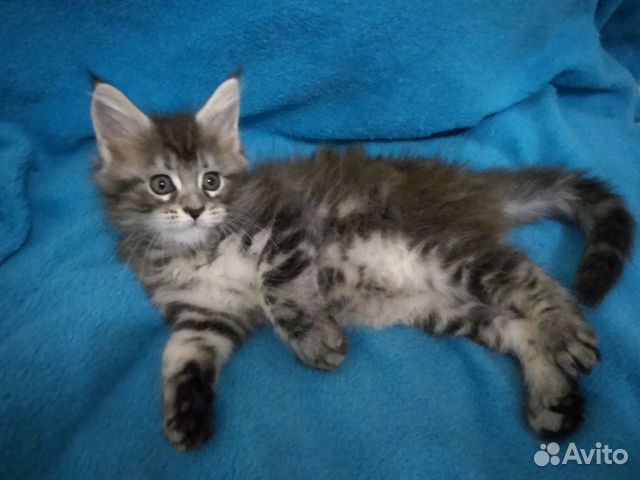 Серебряная принцесса на Новый Год