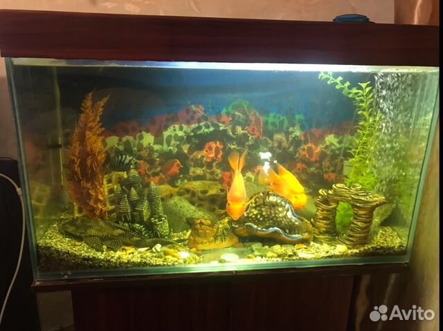 Аквариум на 200 л