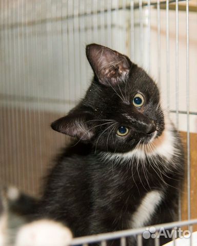 Васяня чудесный малыш