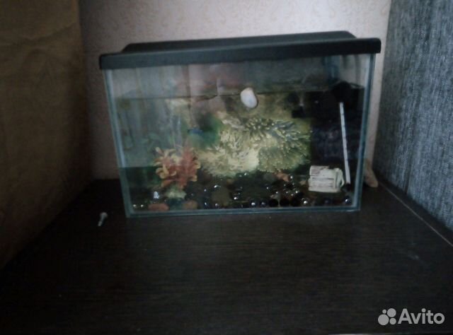 Продам аквариум 10л новый со всем необходимым обор