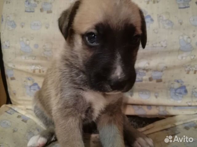 Мальчик 1,5 месяца