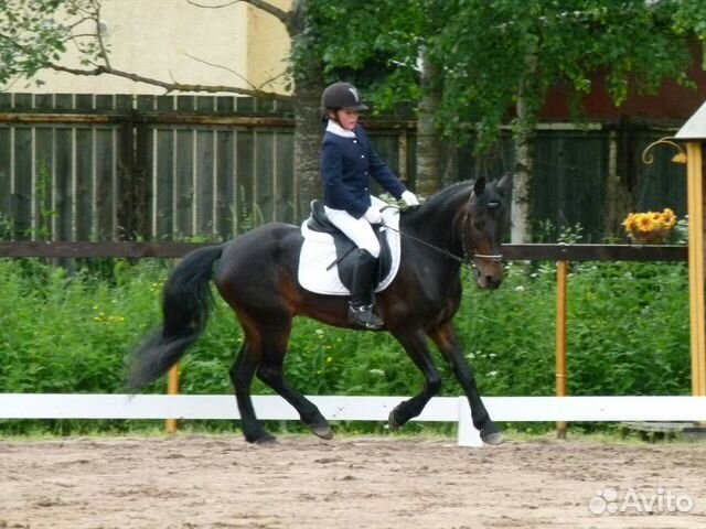 Пони в спорт и для души