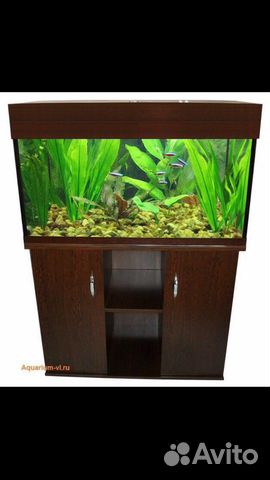 Аквариум, 250л