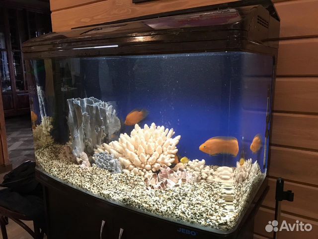 Jebo аквариум