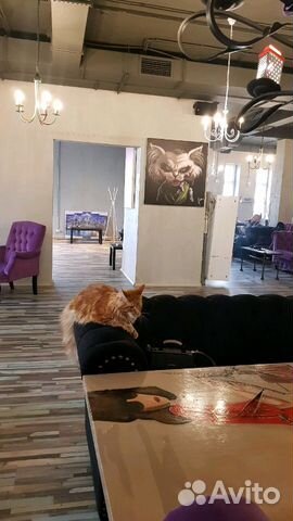 Очаровательный Люцифер ищет кошечку