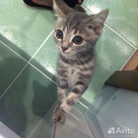 Отдам малыша в самое ближайшее время