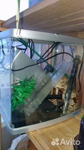 Аквариум