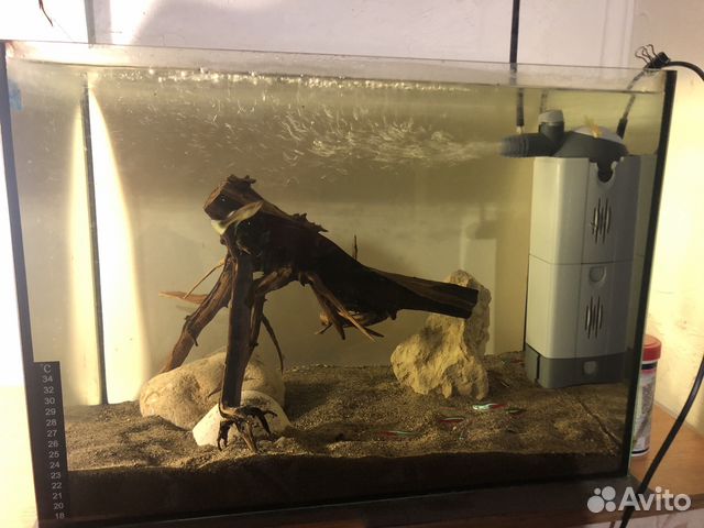 Аквариум с рыбками