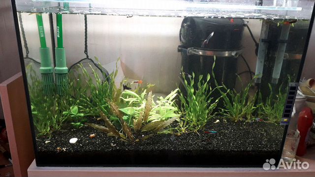 Аквариум
