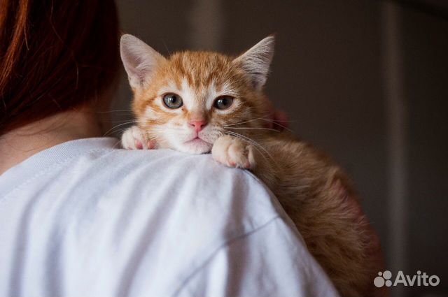 Кусочек солнца