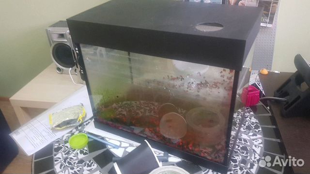 Аквариум 20л. бесплатно