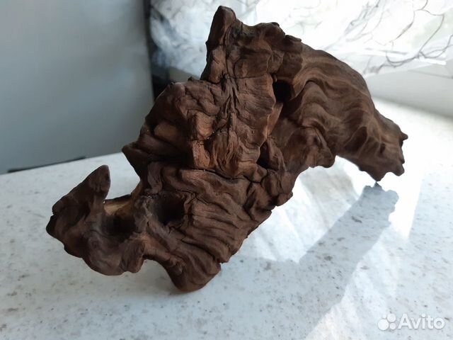 Натуральные коряги из корня южного дерева
