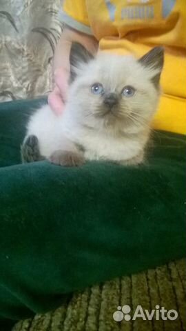 Невская маскарадная