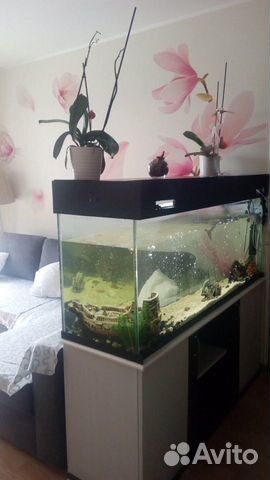 Аквариум
