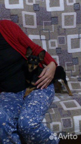 Продам мини тойчик мальчик