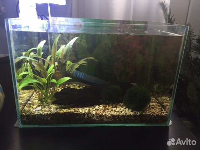 Аквариум