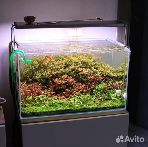 Аквариум 80л оптивайт