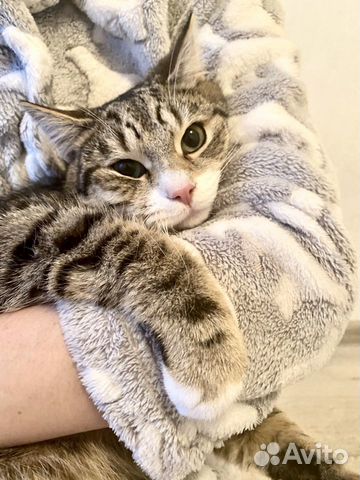 Малыш Семушка хочет к маме на ручки