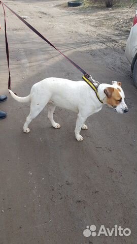 Девочка Кнопа