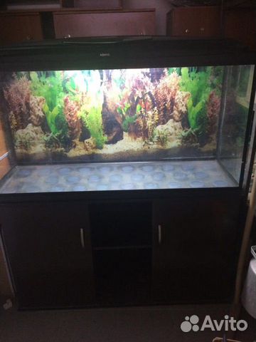 Аквариум