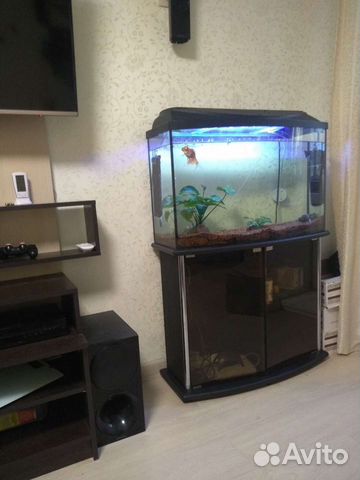 Аквариум 140 литров с тумбой