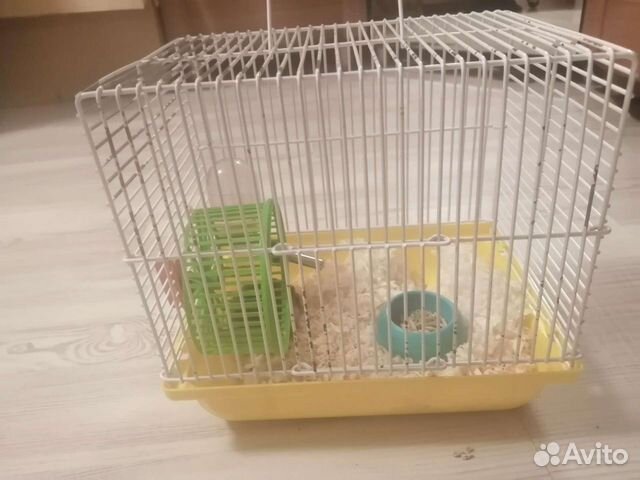 Клетка с джунгариком