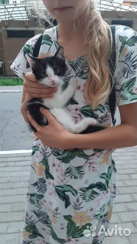 Спасите котенка