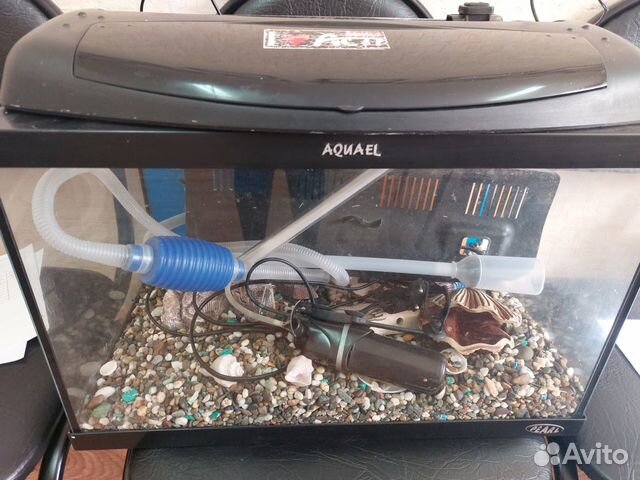 Аквариум, с системой подачи воздуха