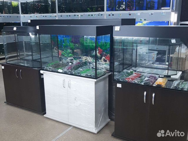 Аквариумы разных размеров