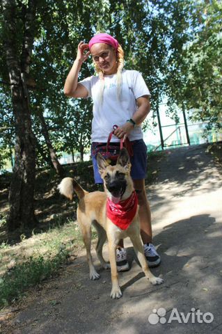 Щенок ищет дом