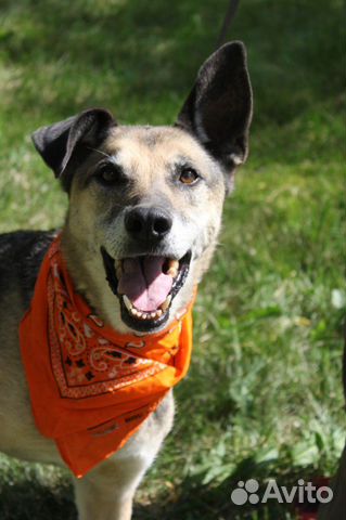 Радуется каждой встрече с человеком