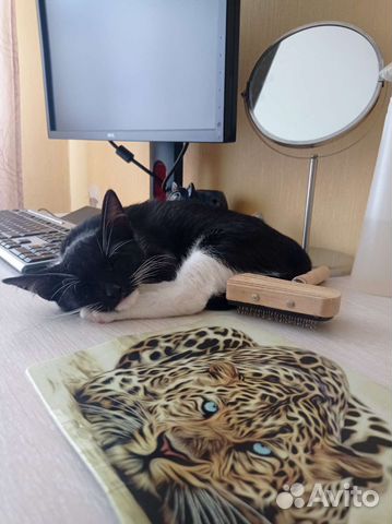 Вениамин ищет семью