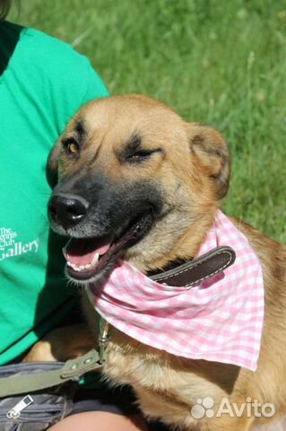 Теряет надежду на счастье