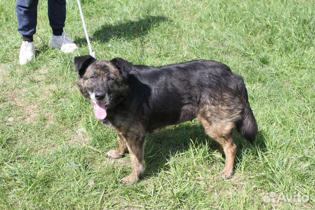 Мир который она видет из решётки, спаси ее