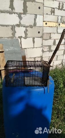 Ловушка (хамяки, крысы) приму заказ
