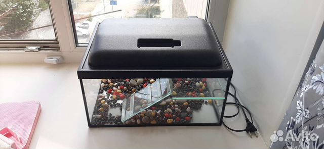 Черепашник, аквариум с островком