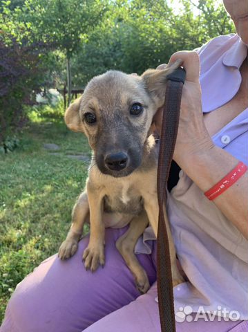 Девочка из «конц-квартиры»