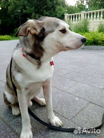 Осталось всего три дня, не знаем что делать