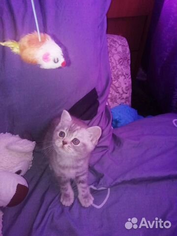 Кукольная девочка