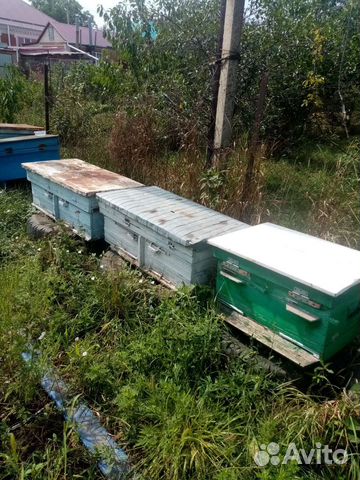 Пчелы и улья бу