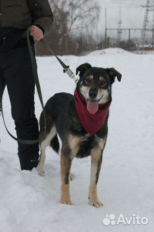 Каждый день приносит боль