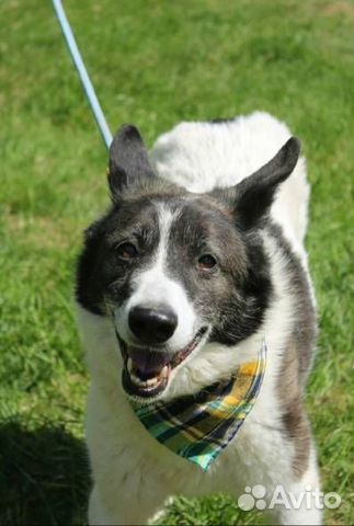 Тимон не видел добра от людей