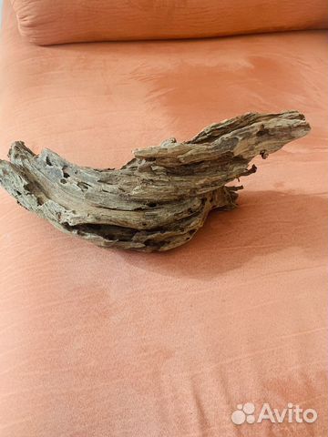 Коряга и ракушки для аквариума