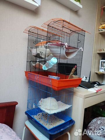 Две крысы в добрые руки вместе с клеткой