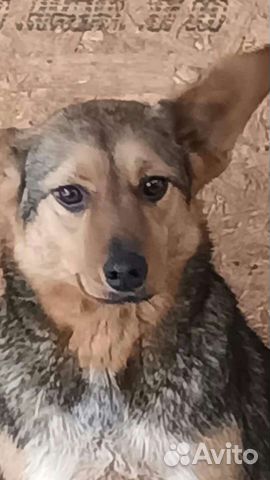 Луша ждет своего человека